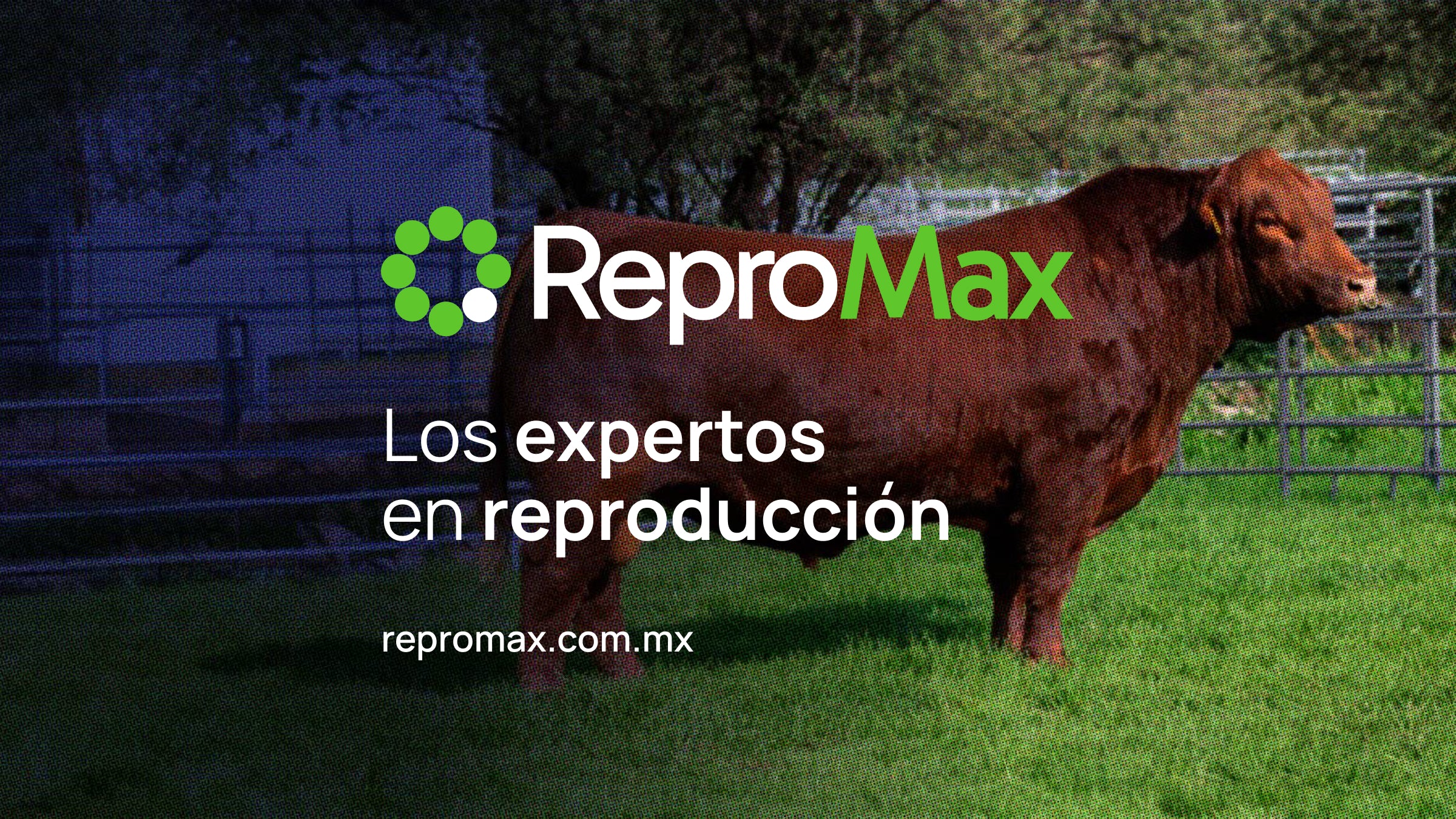ReproMax - Los expertos en Reproducción Animal